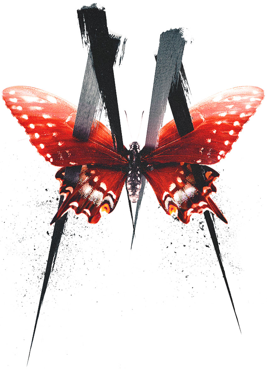 M. Butterfly is the perfect woman, but perfection isn't always what it ...