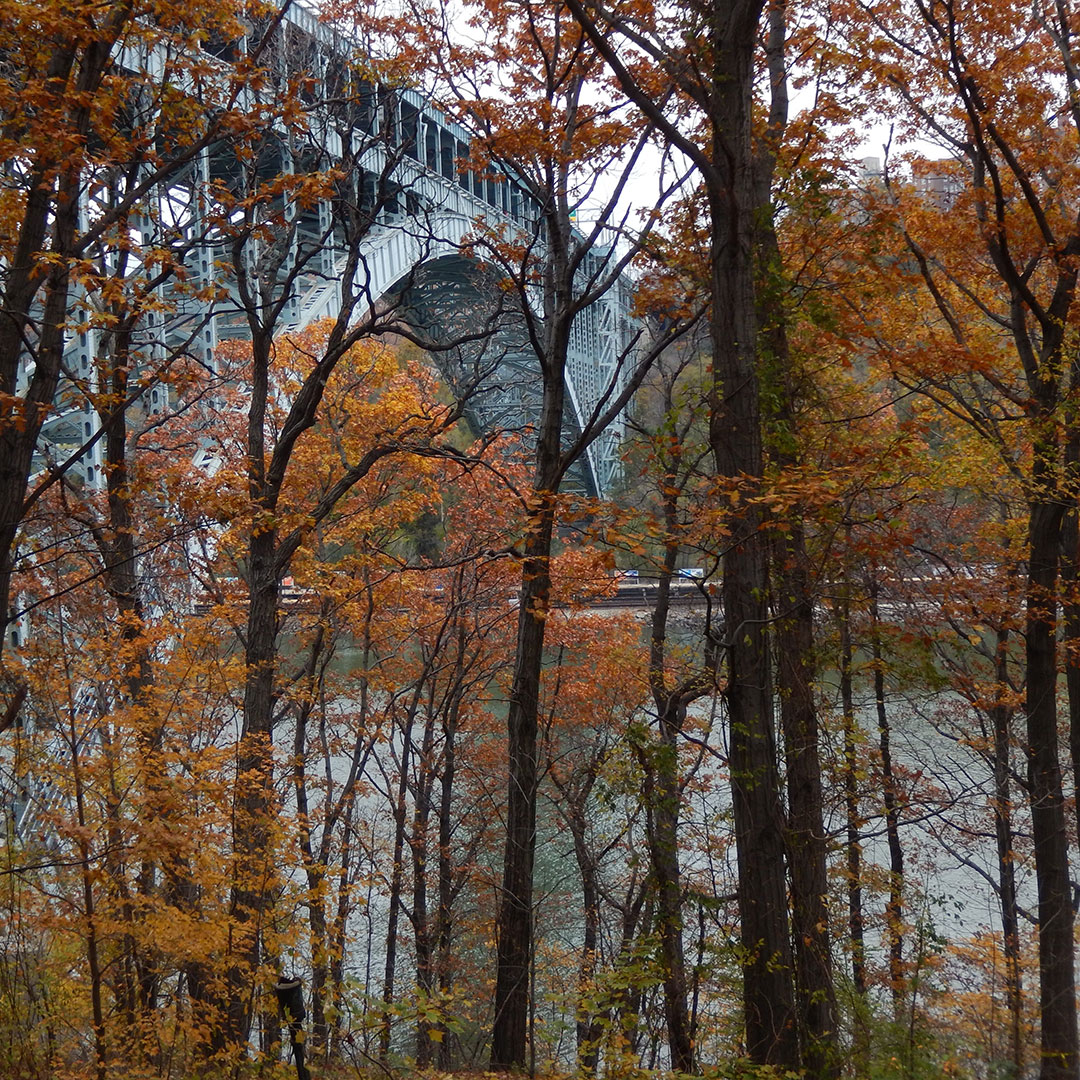 Inwood, Manhattan | New York Latin Culture Magazine