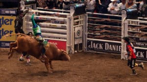 PBR Buck Off 2022 | New York Latin Culture Magazine