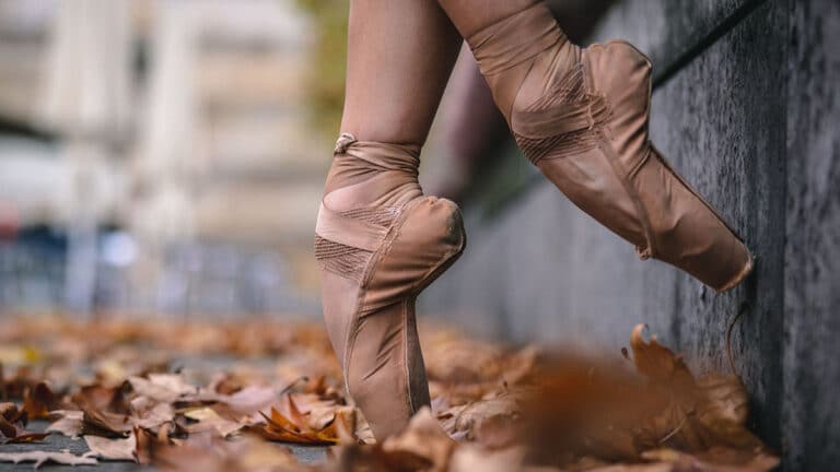 Fall for Dance at City Center 2024