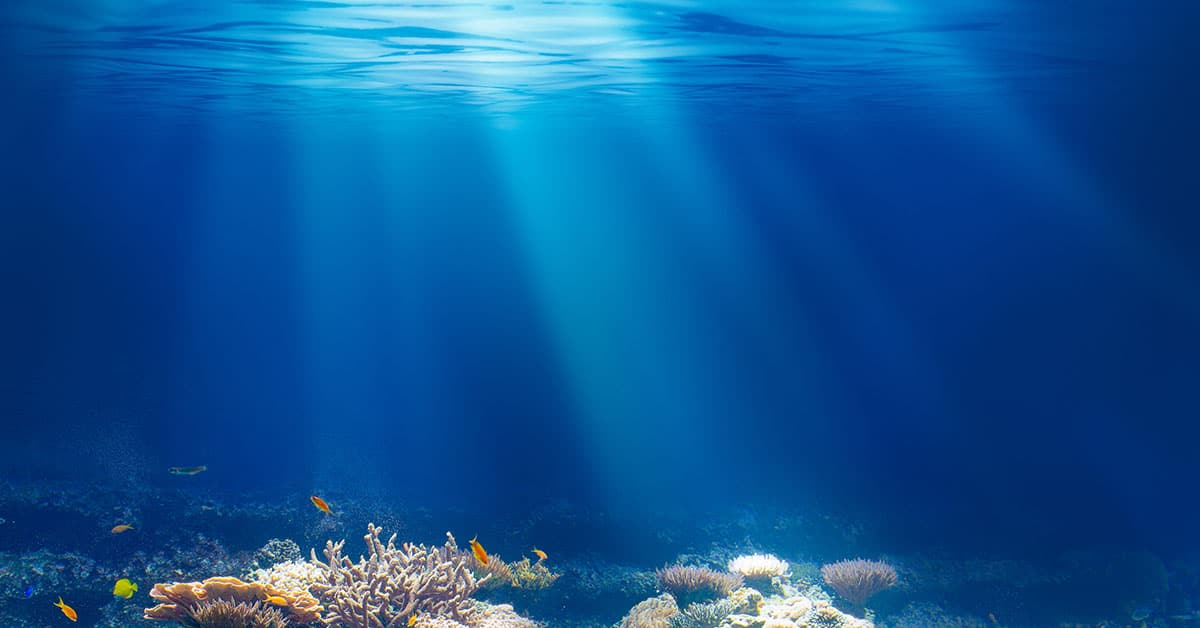 Yemayá Mother Orisha of the Sea