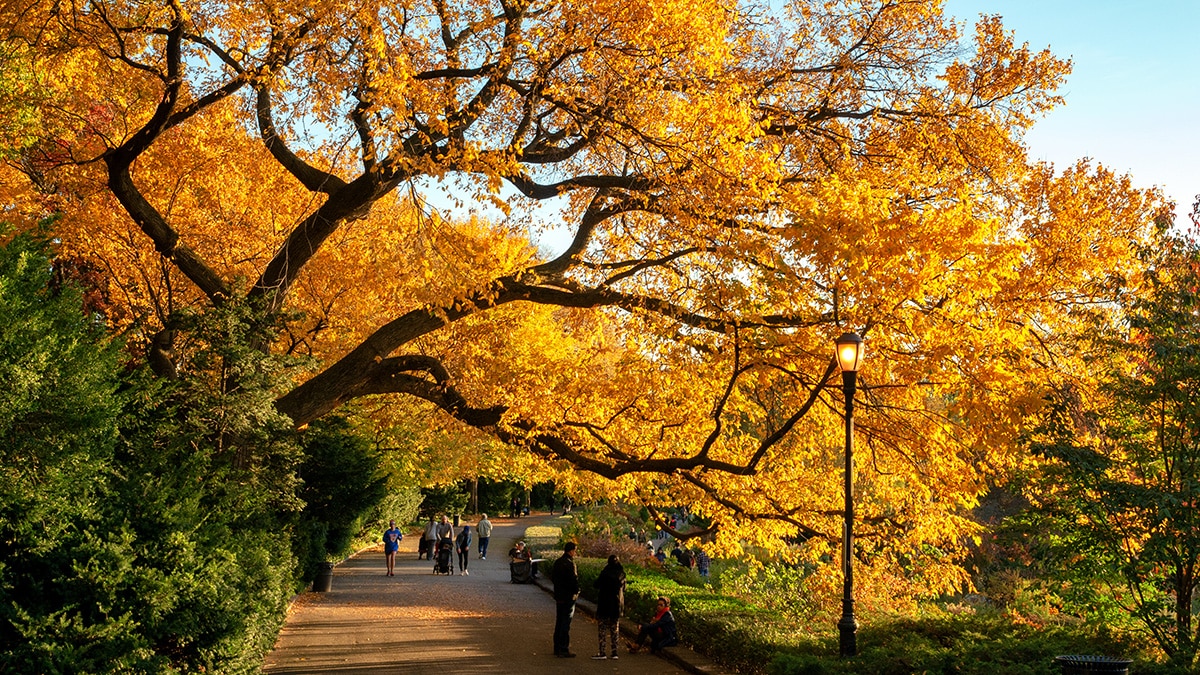 Fort Tryon Park NYC ~ New York Latin Culture Magazine